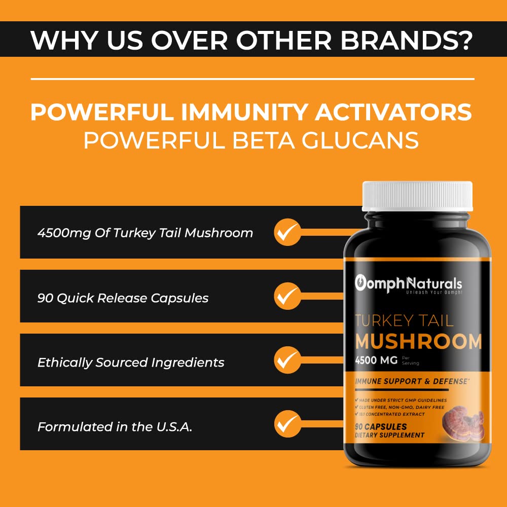 Turkey Tail mushrooms for enhanced vitality