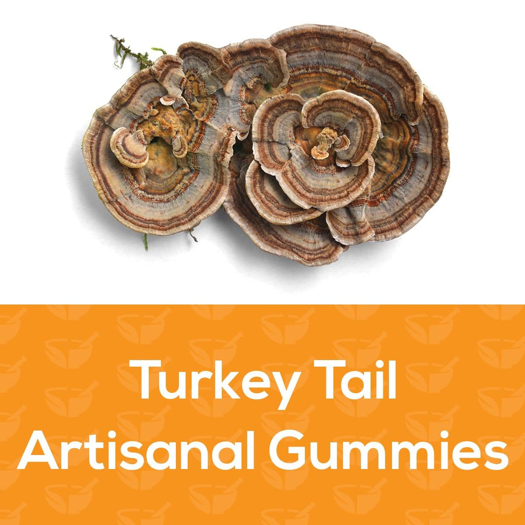Turkey Tail mushrooms for gut balance