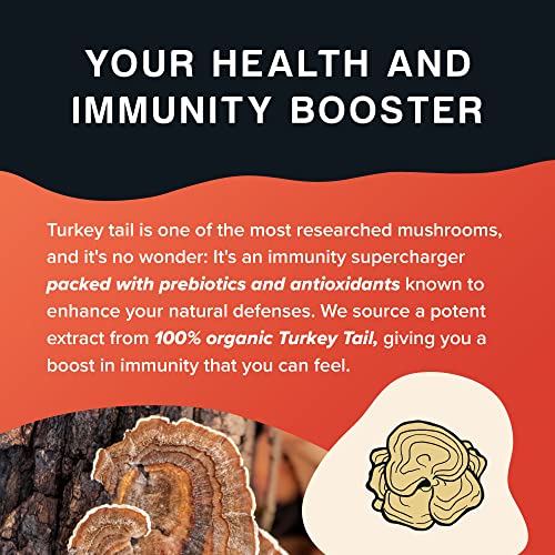 turkey tail mushrooms for gut health
