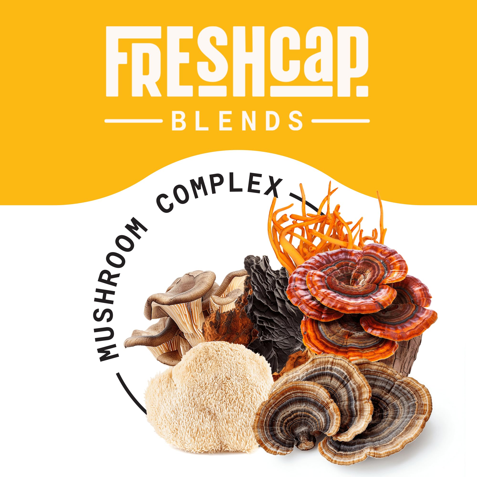 turkey tail mushrooms for gut health