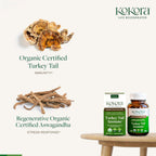 Turkey Tail mushrooms for gut health