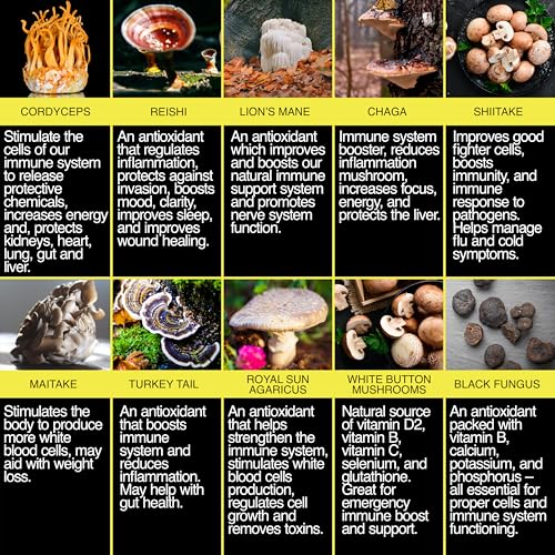 Turkey Tail mushrooms for gut health