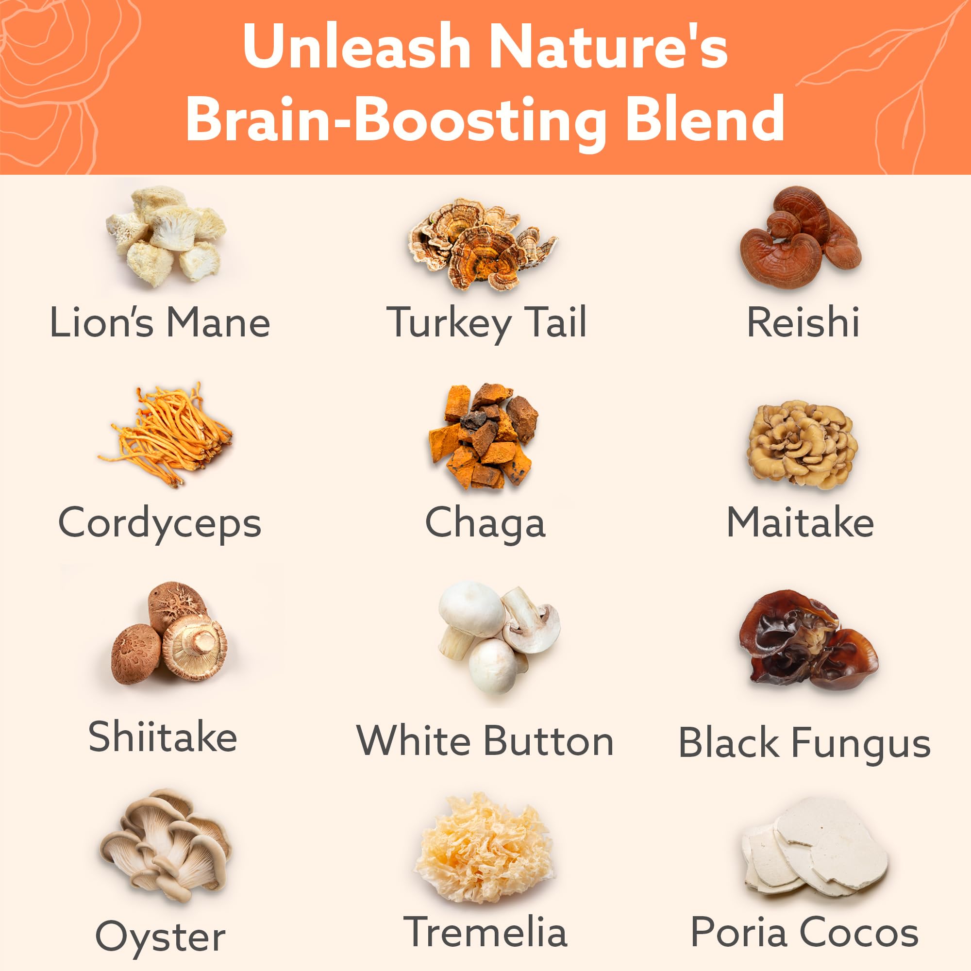 Turkey Tail mushrooms for immune boost