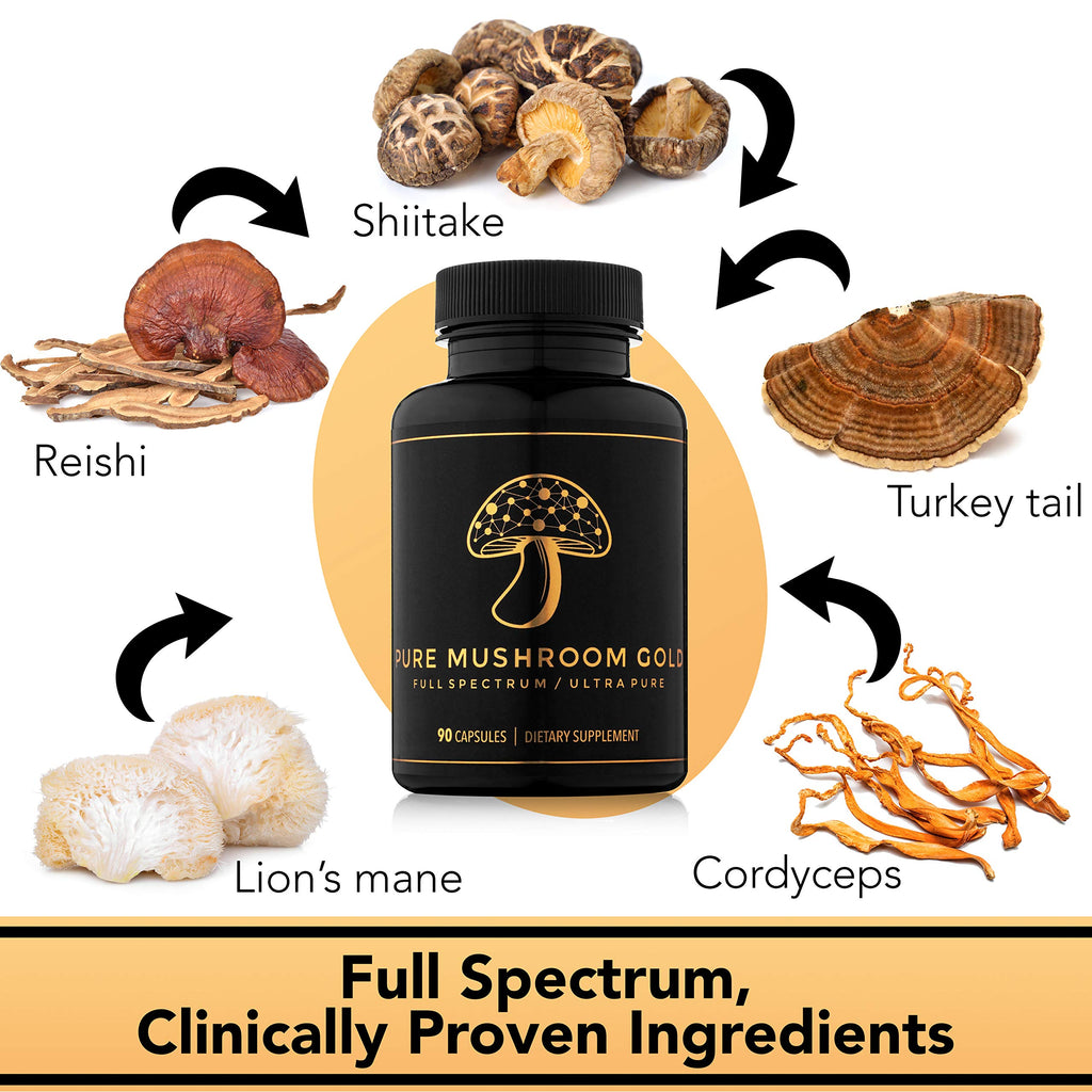 Turkey Tail mushrooms for immune health