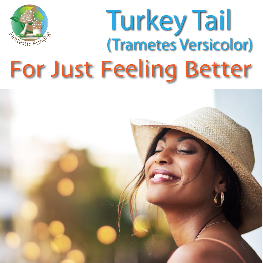 turkey tail mushrooms for immune support