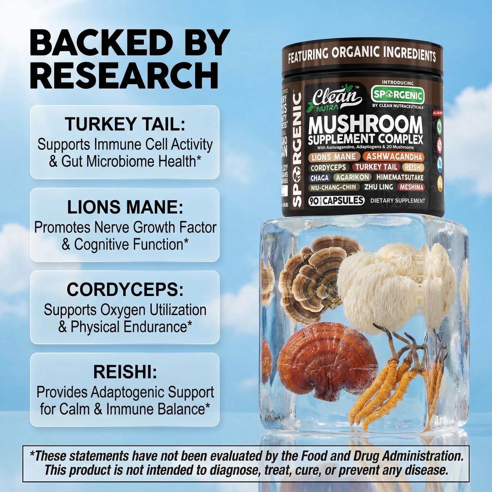 turkey tail mushrooms for immunity