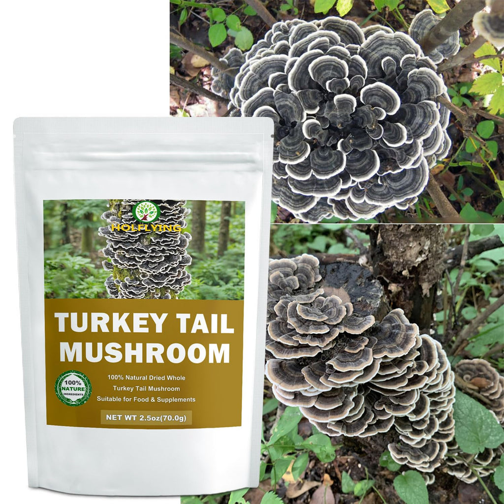 turkey tail mushrooms for natural wellness