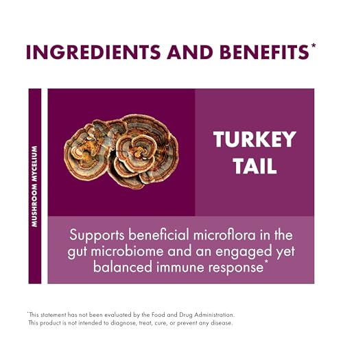 Turkey tail mushrooms for overall health
