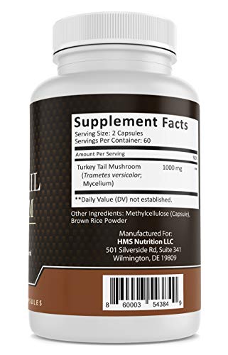 Turkey Tail mushrooms for overall wellness