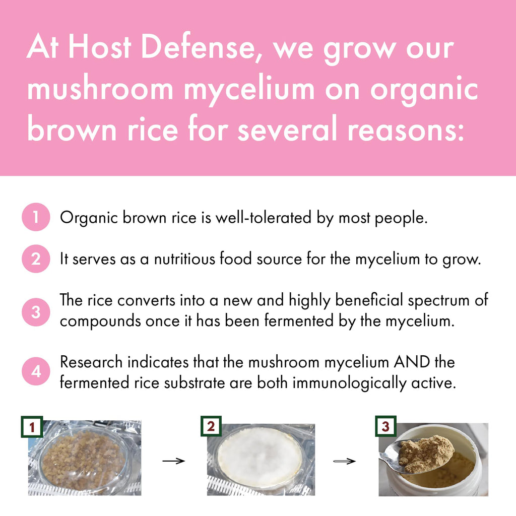 Turkey tail mushrooms for vitality and energy