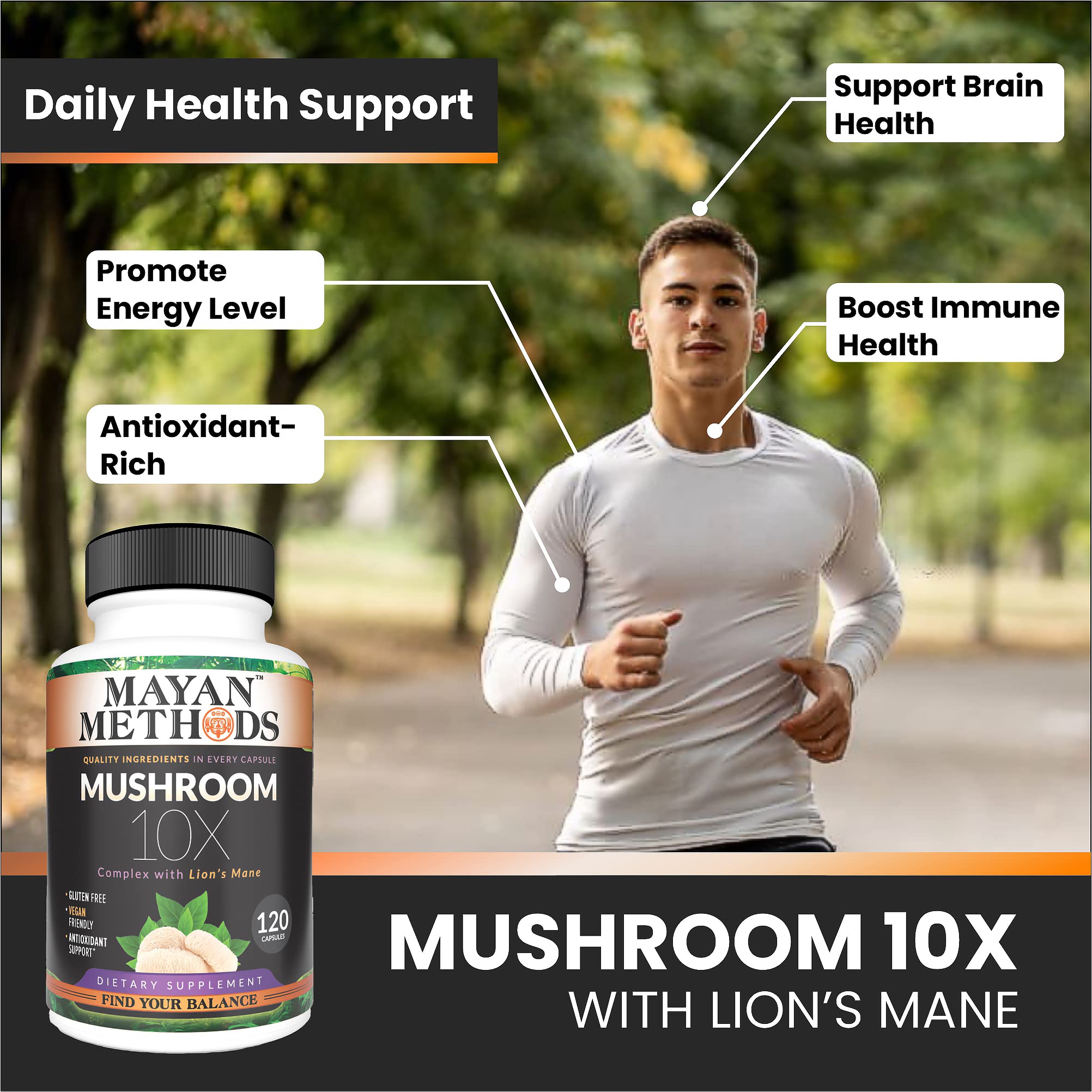 Turkey Tail mushrooms for vitality