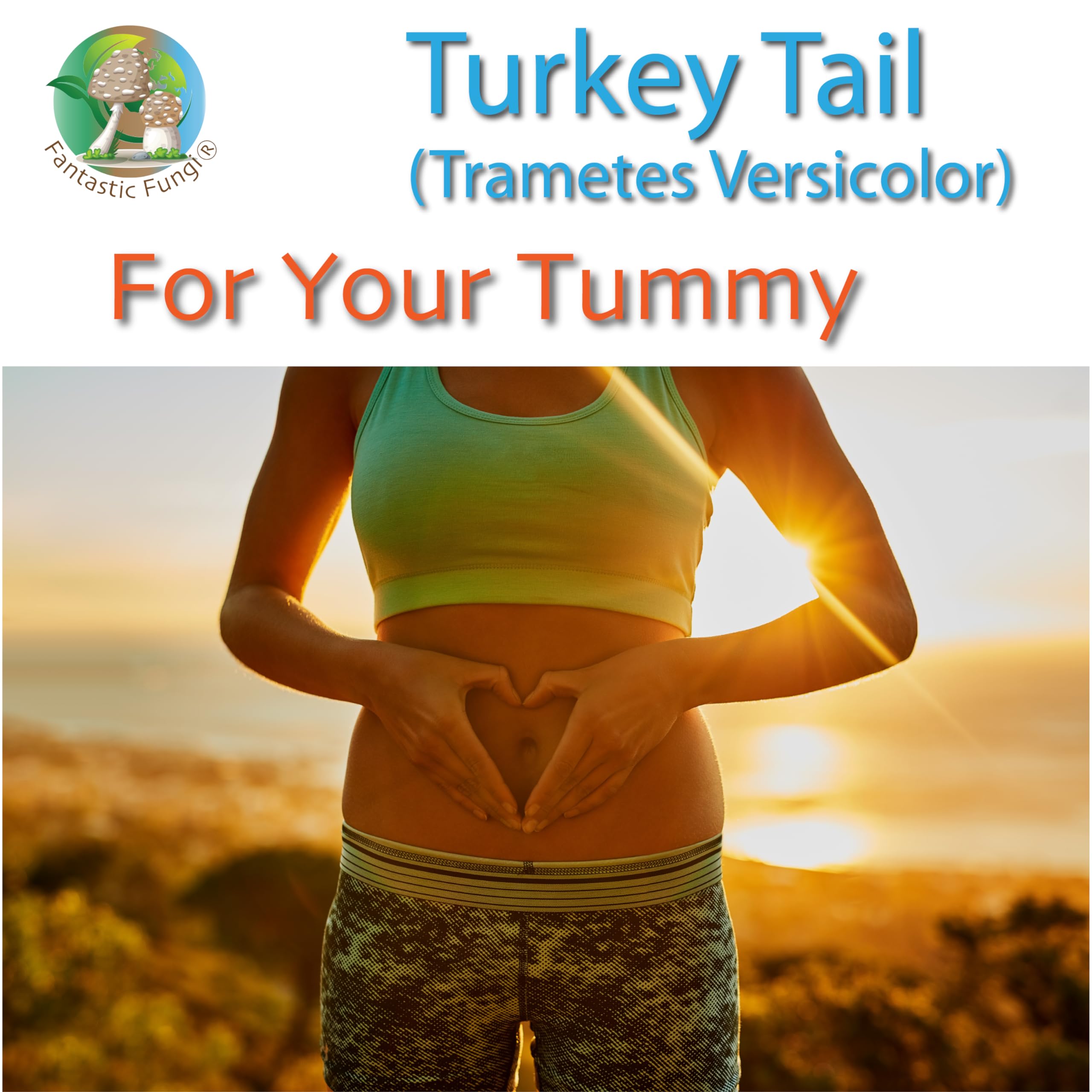 turkey tail mushrooms for vitality