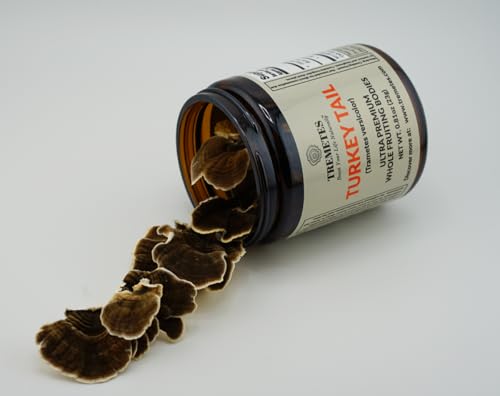 Turkey Tail mushrooms for vitality