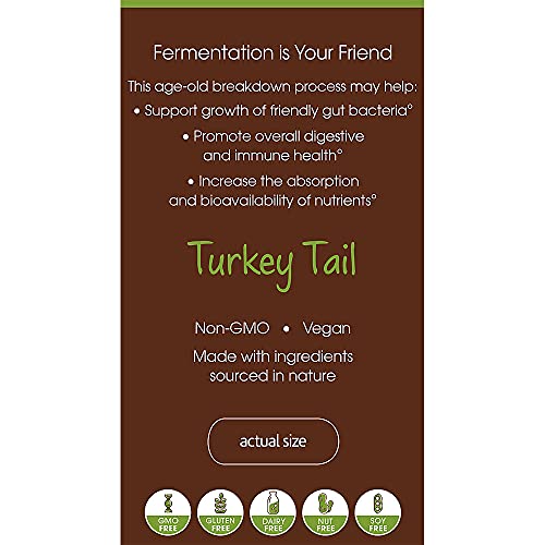 Turkey Tail mushrooms for vitality