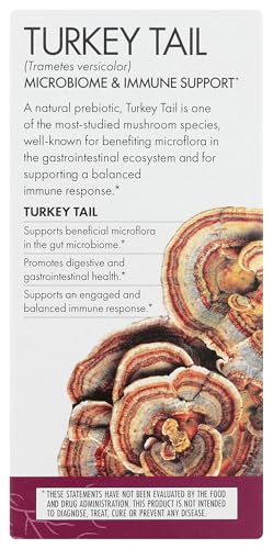 Turkey Tail mushrooms for wellness