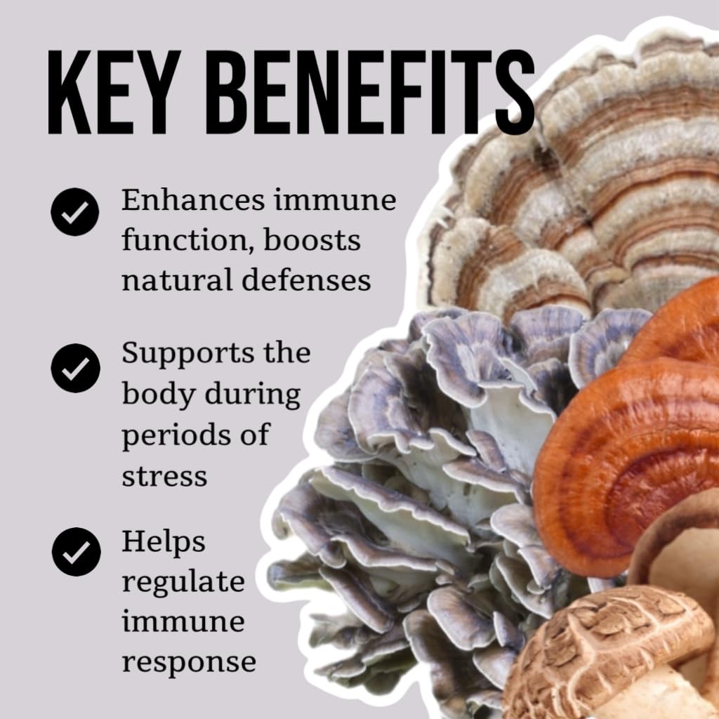 turkey tail mushrooms for wellness