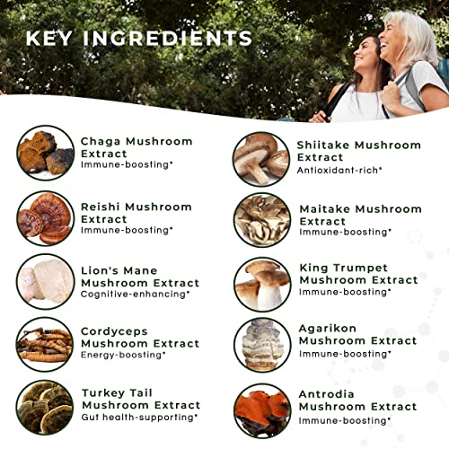 Turkey tail mushrooms for wellness