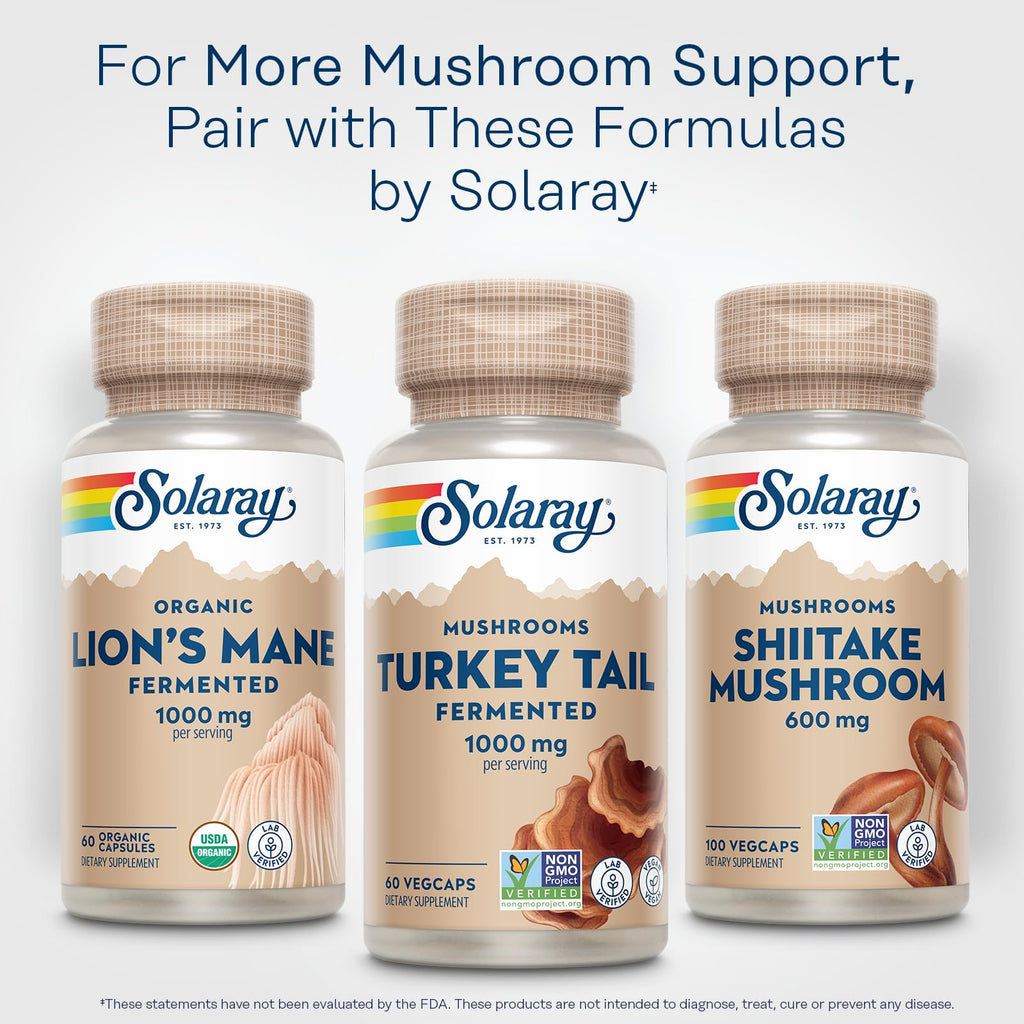 turkey tail mushrooms for wellness