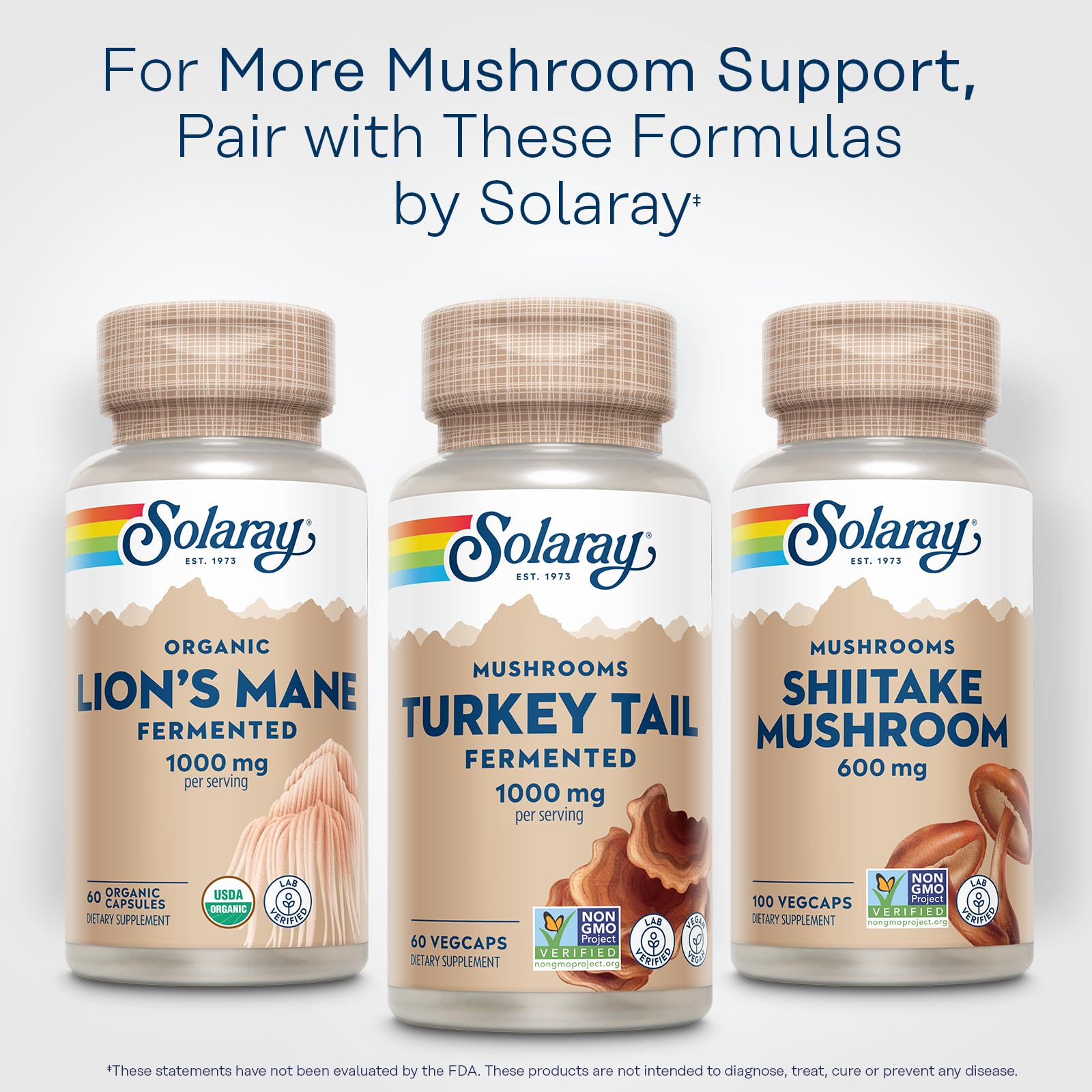 turkey tail mushrooms for wellness