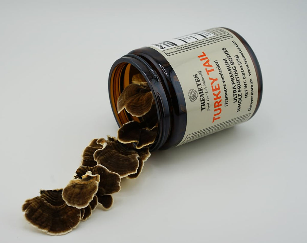 Turkey Tail mushrooms in natural remedies