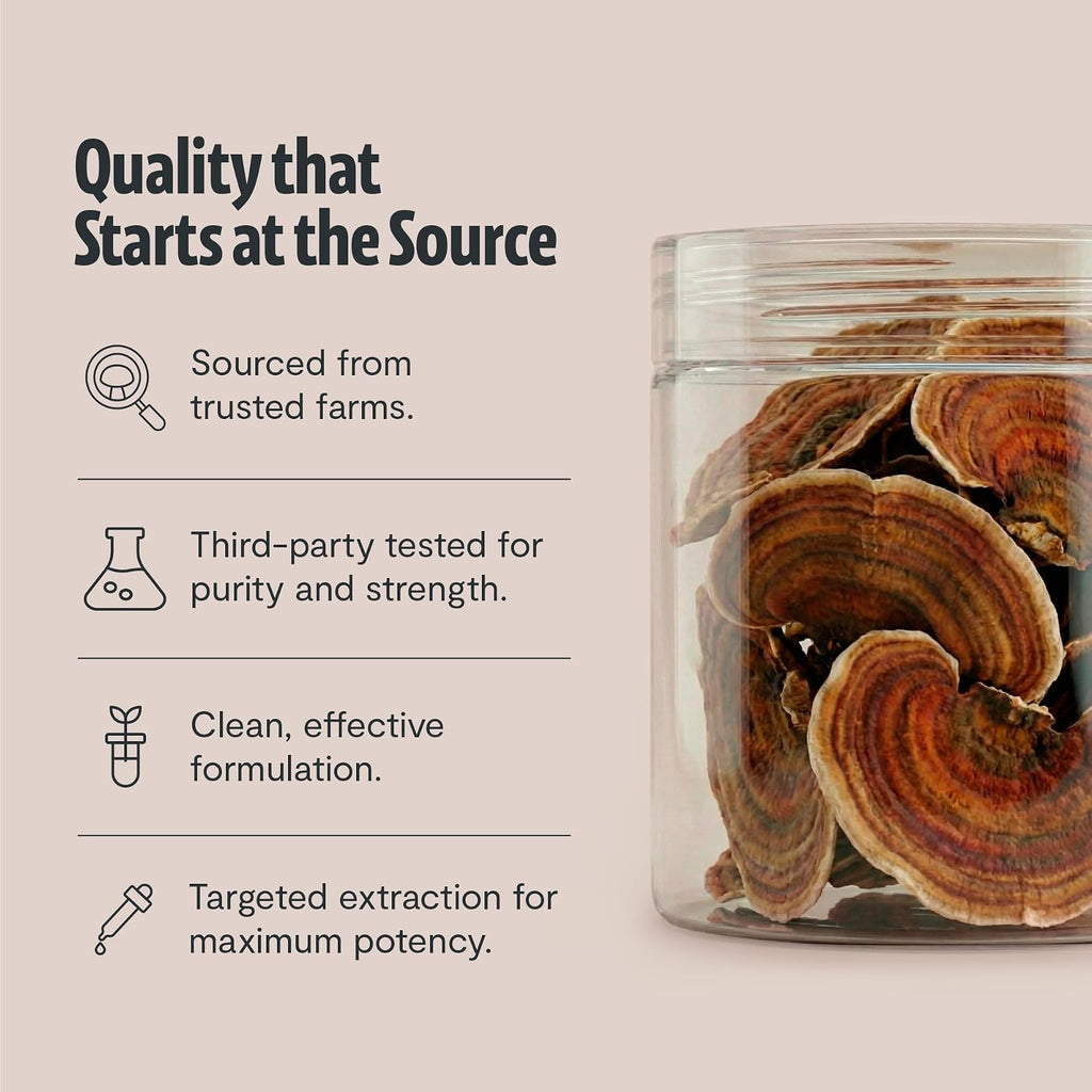 turkey tail powder for daily wellness