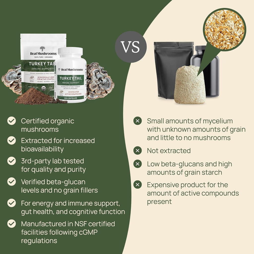 turkey tail powder for digestive health