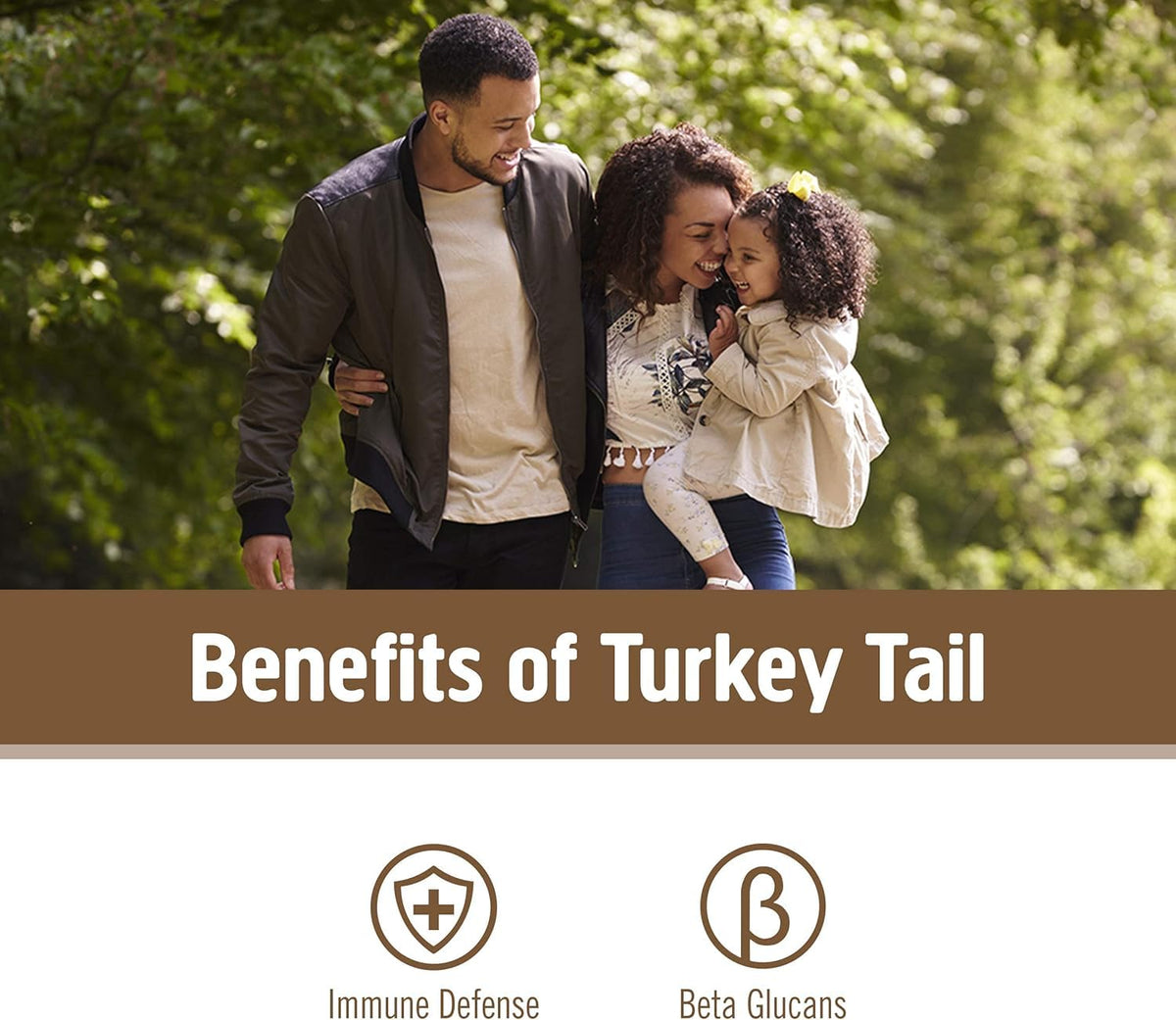 turkey tail powder for gut health