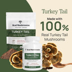 turkey tail powder for immune support