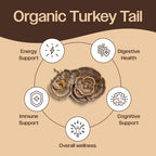 turkey tail powder for immune support