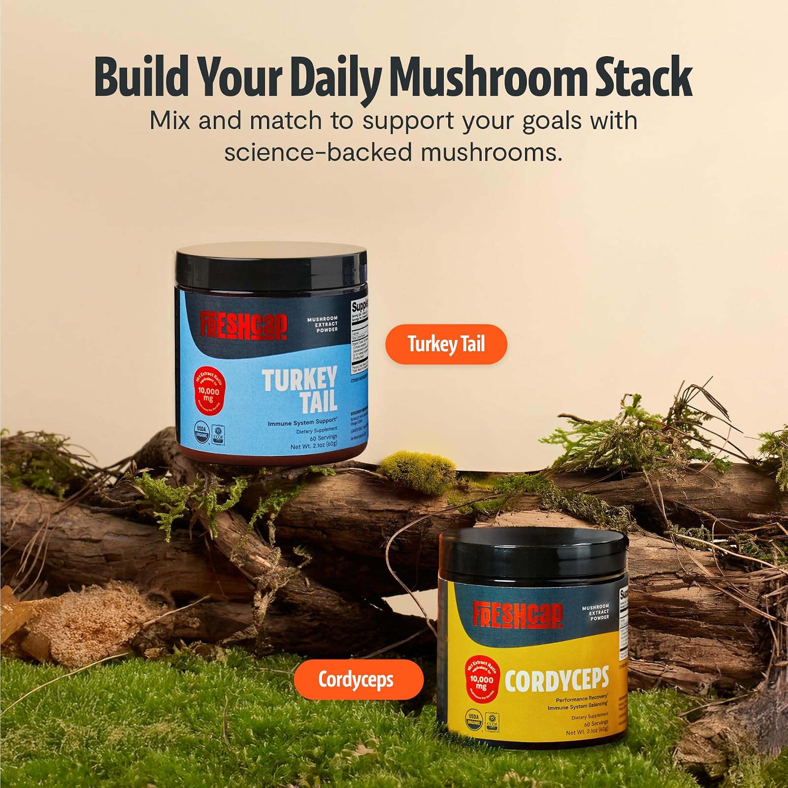 turkey tail powder for overall vitality