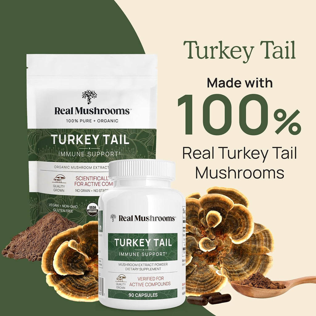 turkey tail powder for wellness