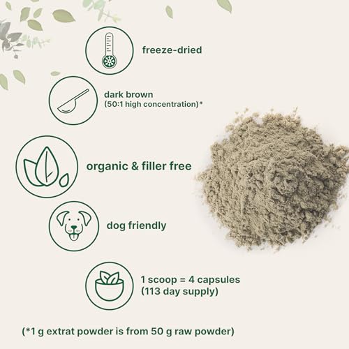 turkey tail powder for wellness
