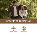 turkey tail superfood for immunity