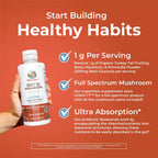 turkey tail supplement for wellness