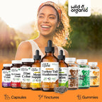 turkey tail tincture for wellness
