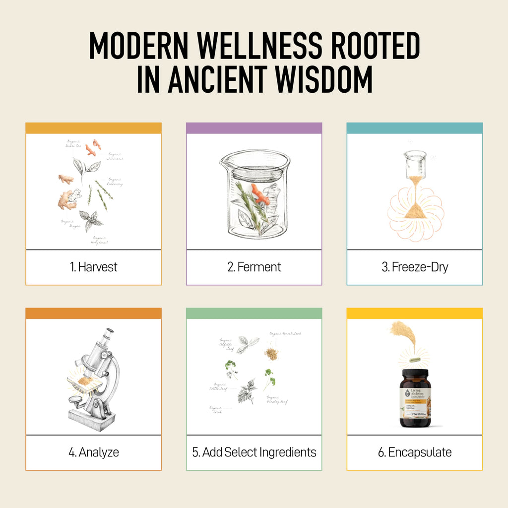 turmeric alive for natural wellness