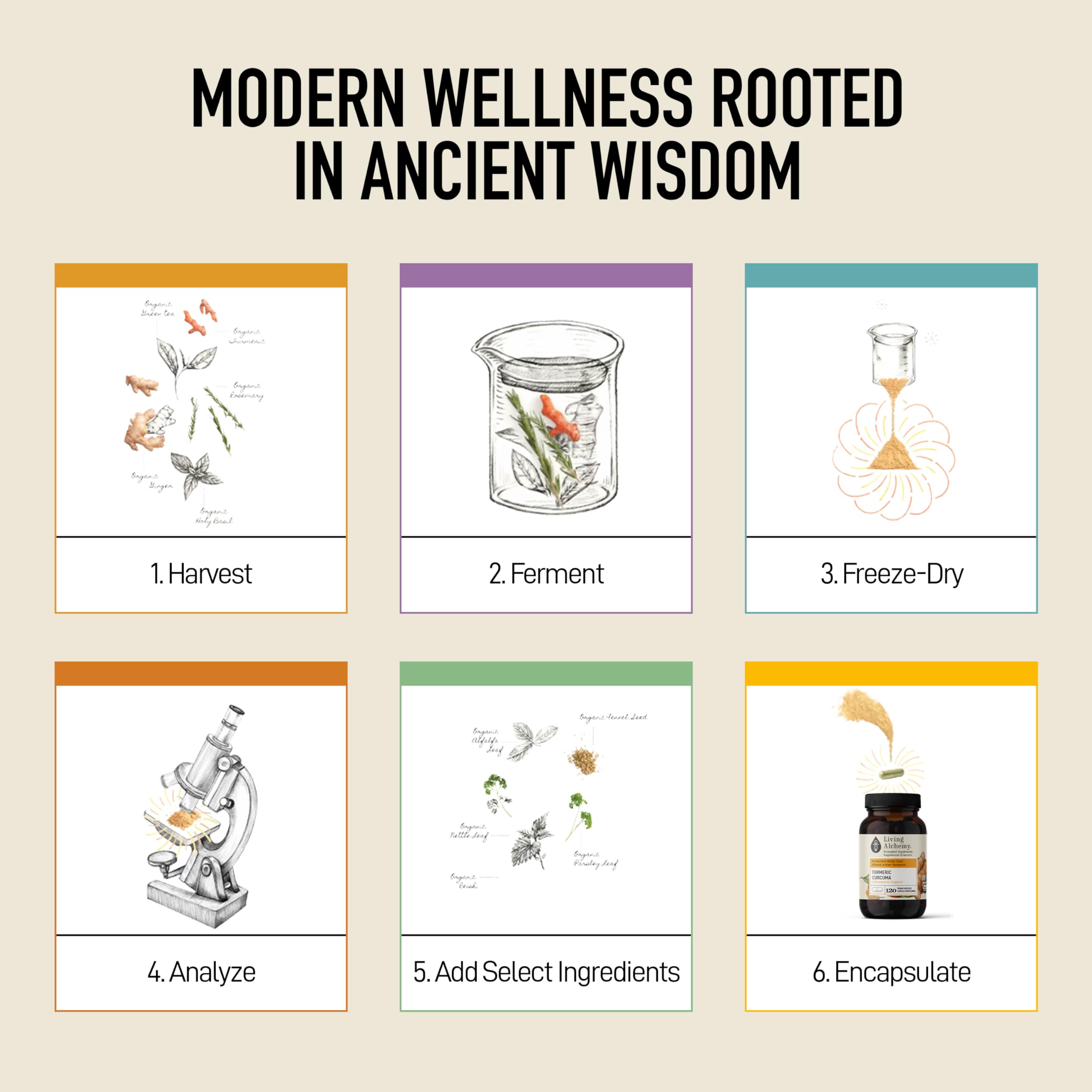 turmeric alive for natural wellness