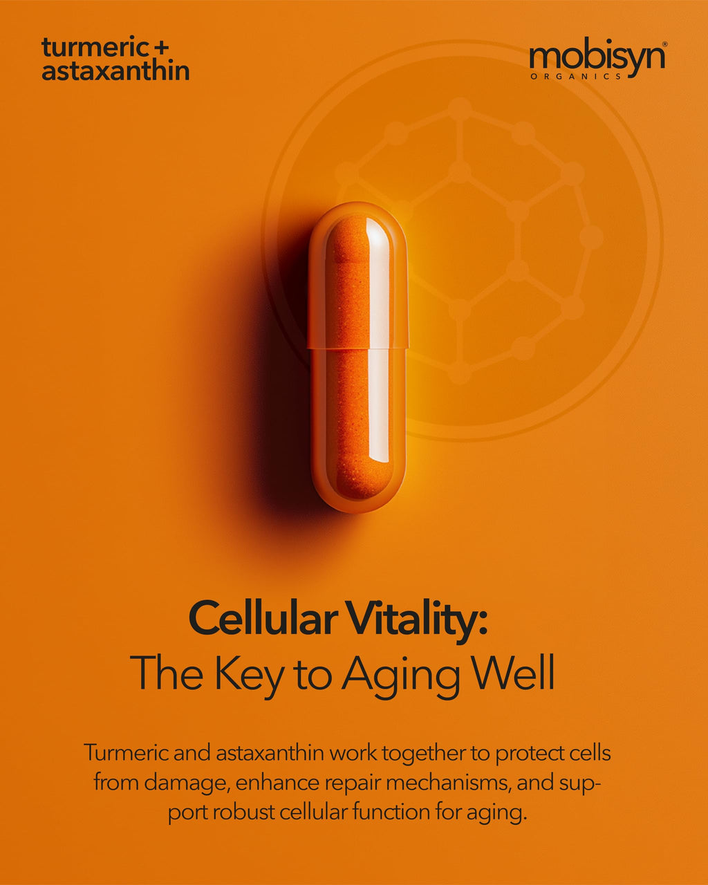 Turmeric and astaxanthin for anti-aging