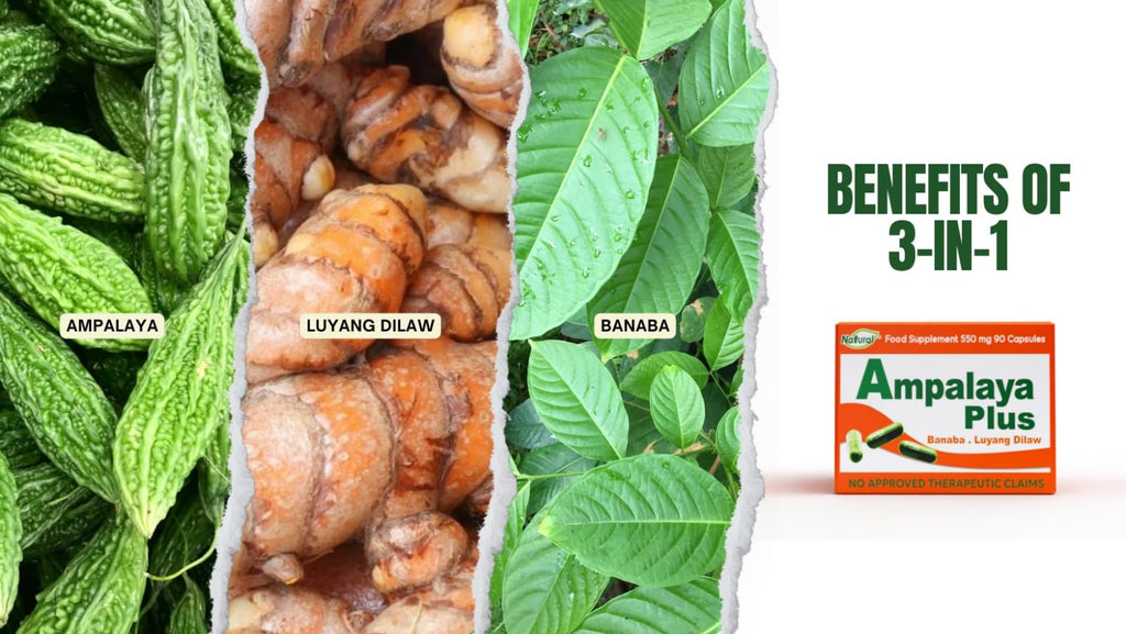 turmeric and bitter melon benefits
