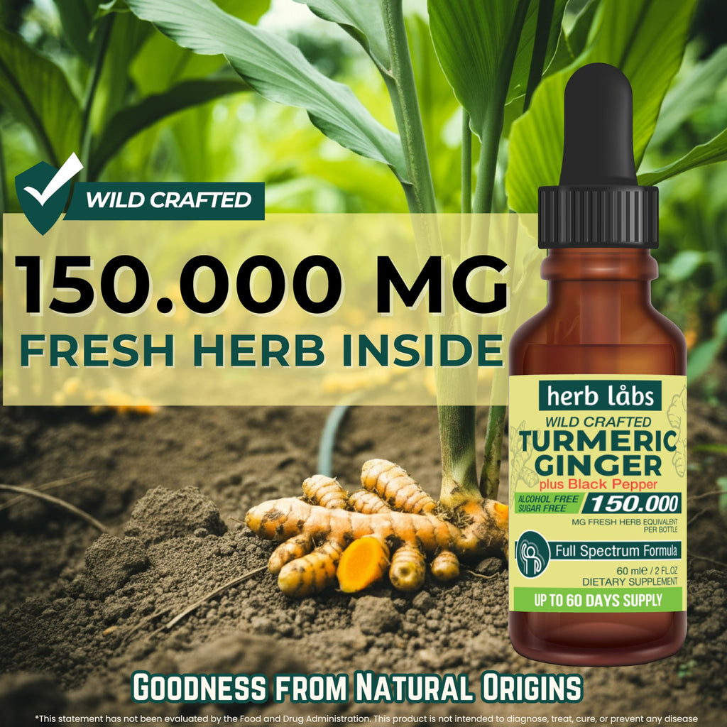 turmeric and ginger daily wellness