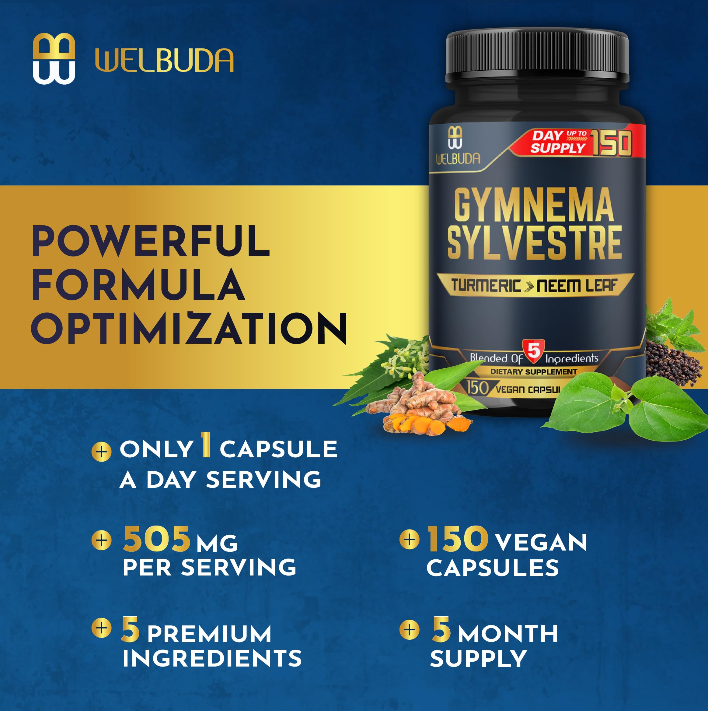 turmeric and Gymnema for vitality
