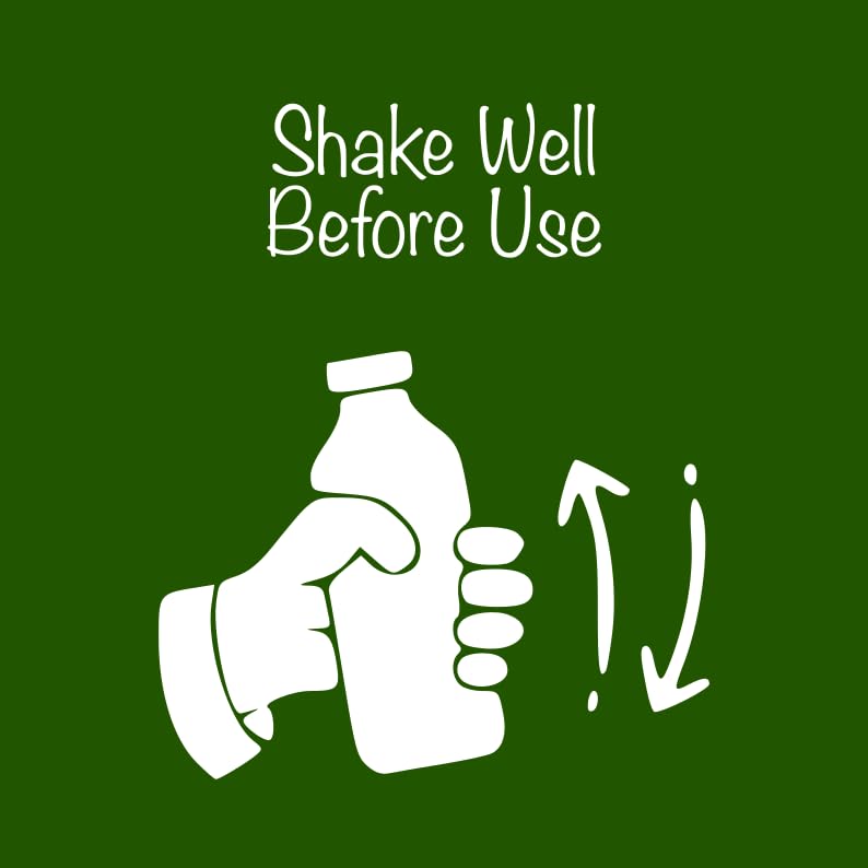 turmeric and moringa for overall wellness