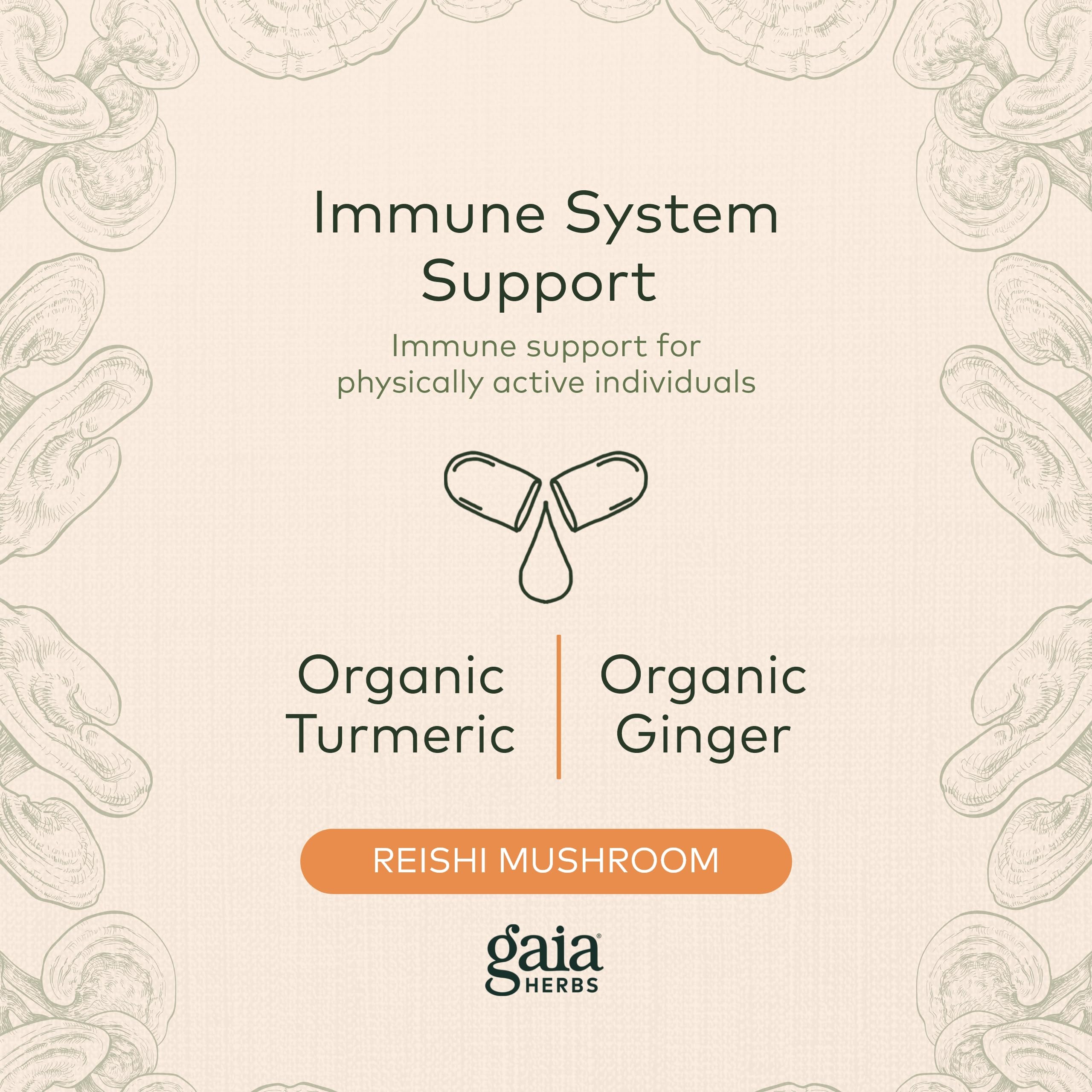Turmeric and mushrooms for wellness