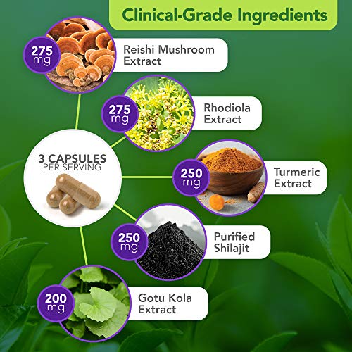 Turmeric and Rhodiola support