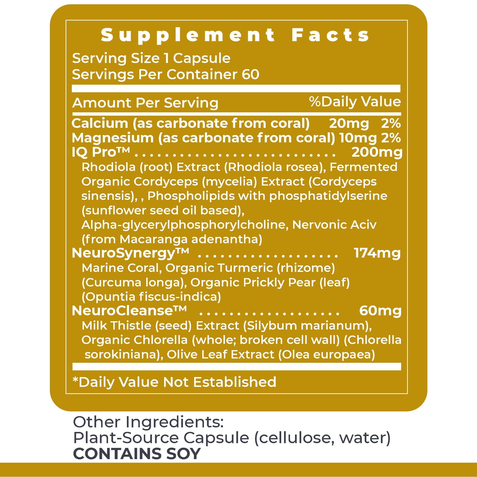 turmeric-based cognitive enhancement