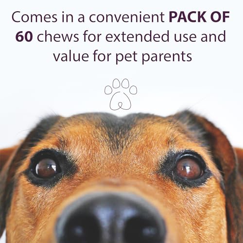 turmeric benefits for canine health