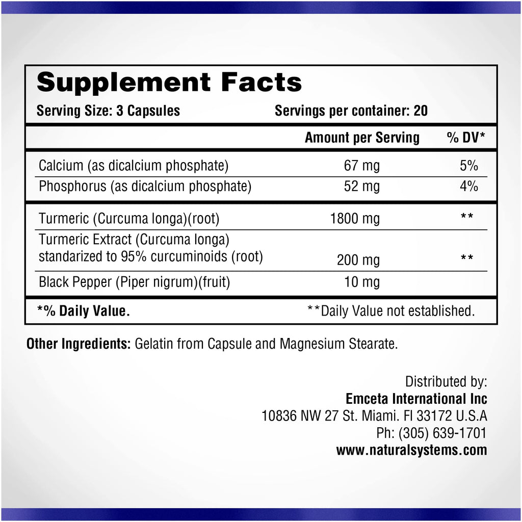 turmeric benefits for everyday wellness