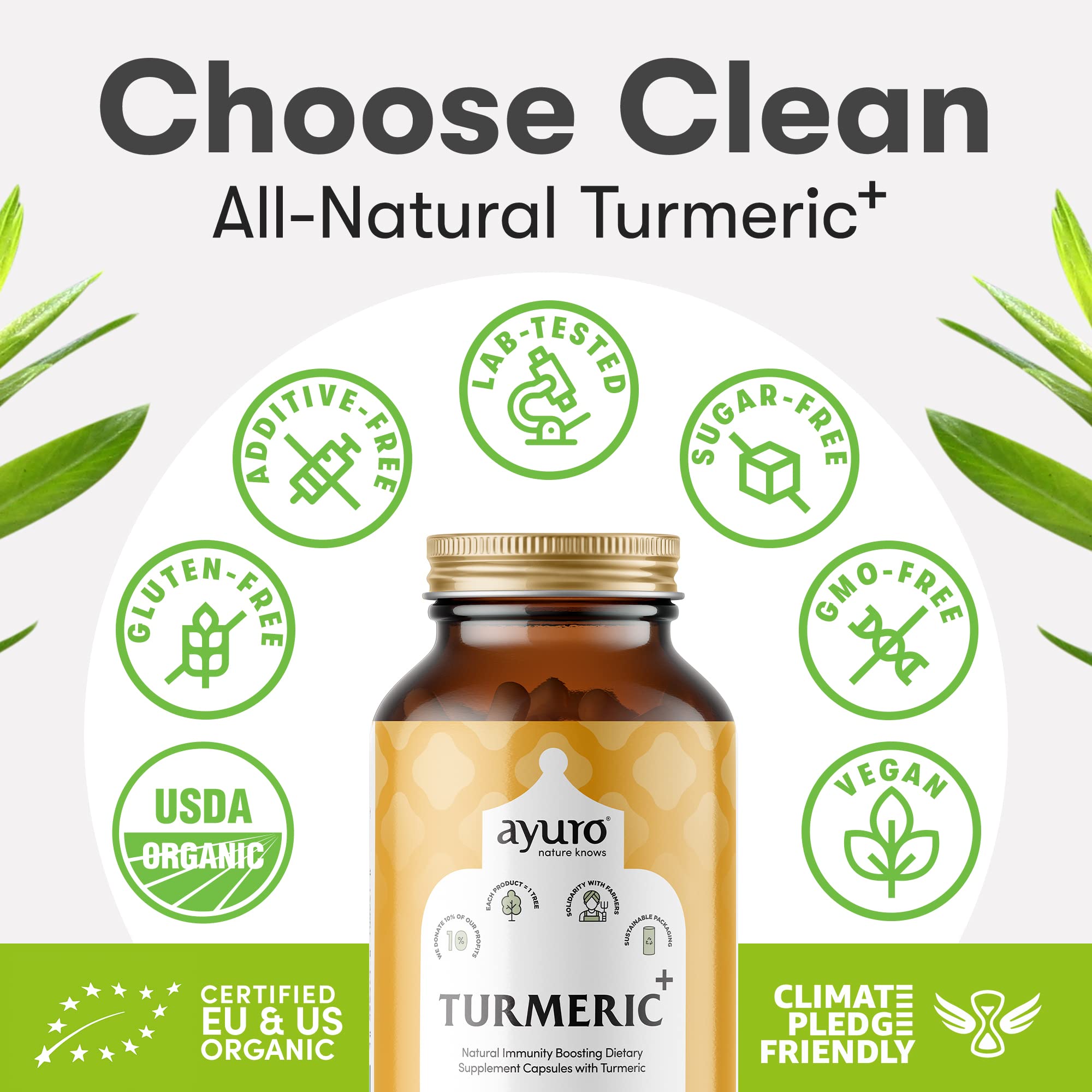 turmeric benefits for immune system