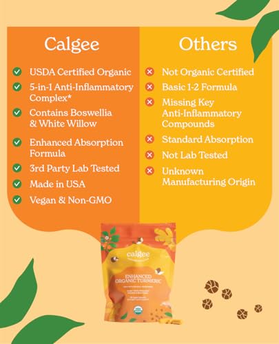 turmeric benefits for overall wellness