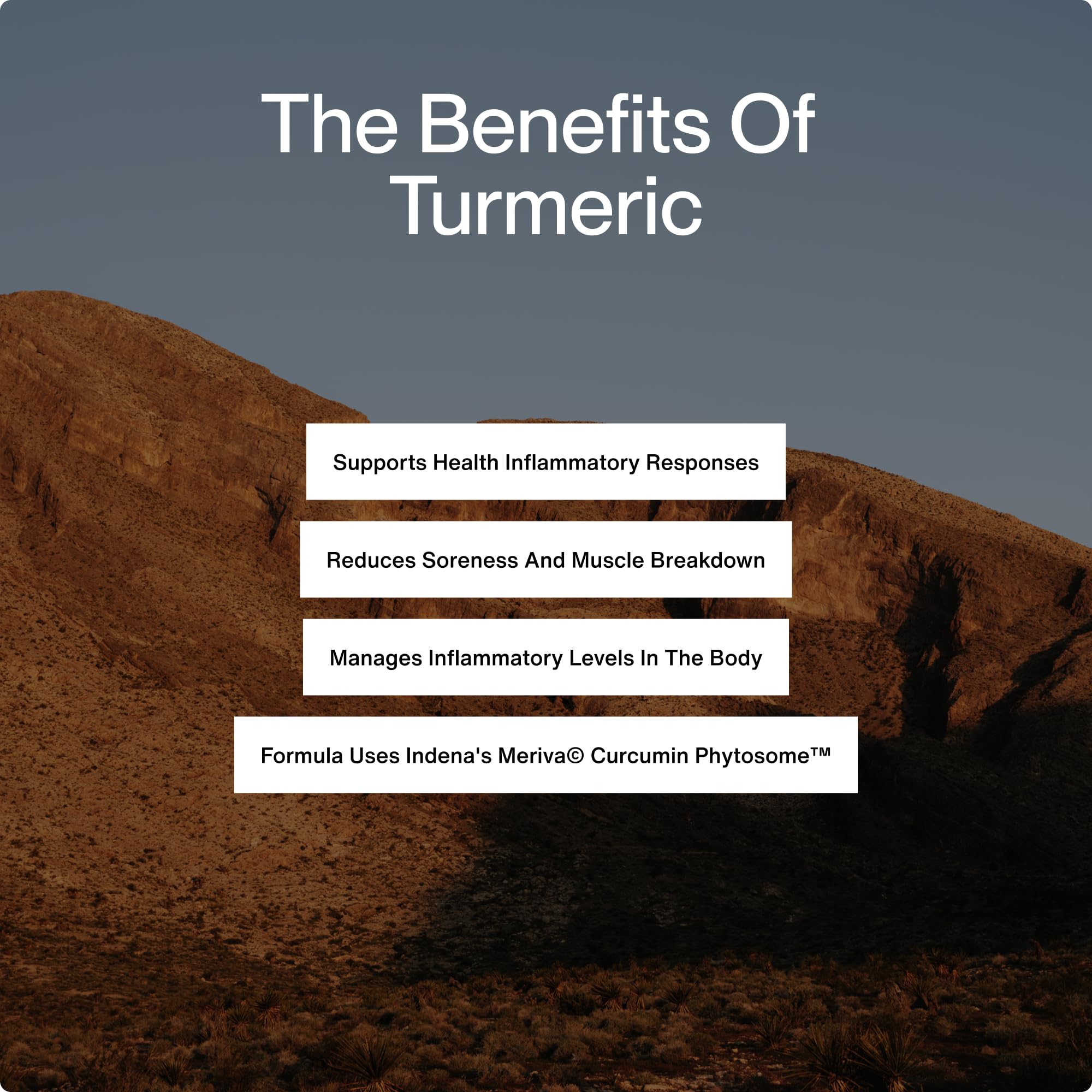 turmeric capsules for daily wellness